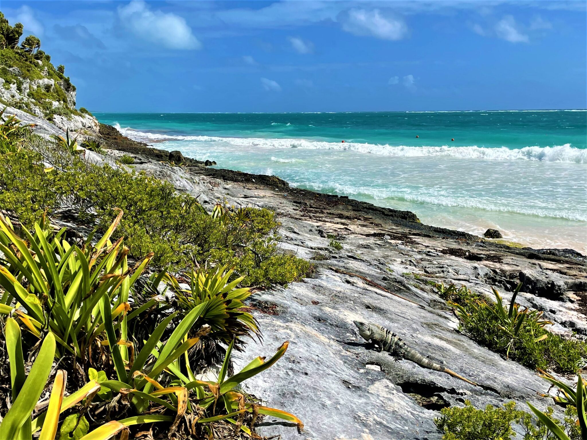 The best beaches in Quintana Roo - Bookaway