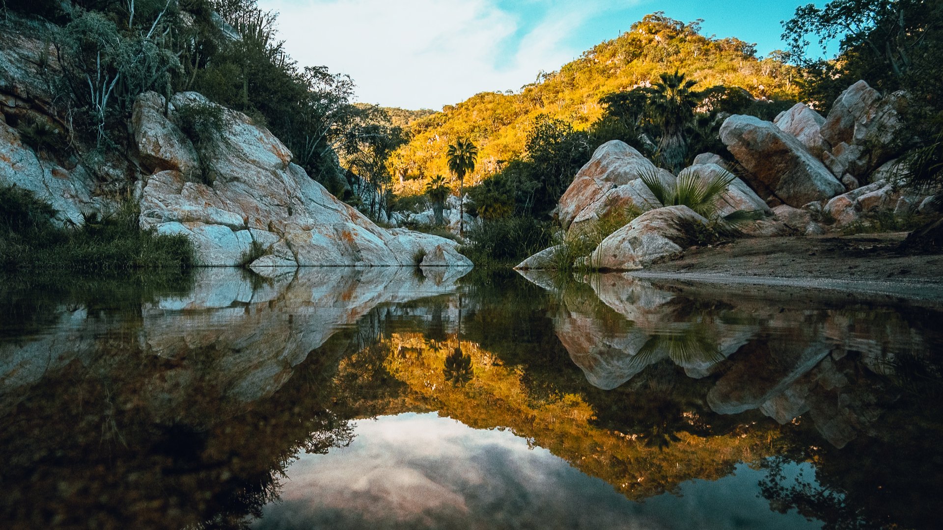 Things to Do in the Baja California Peninsula to Be One With Nature ...