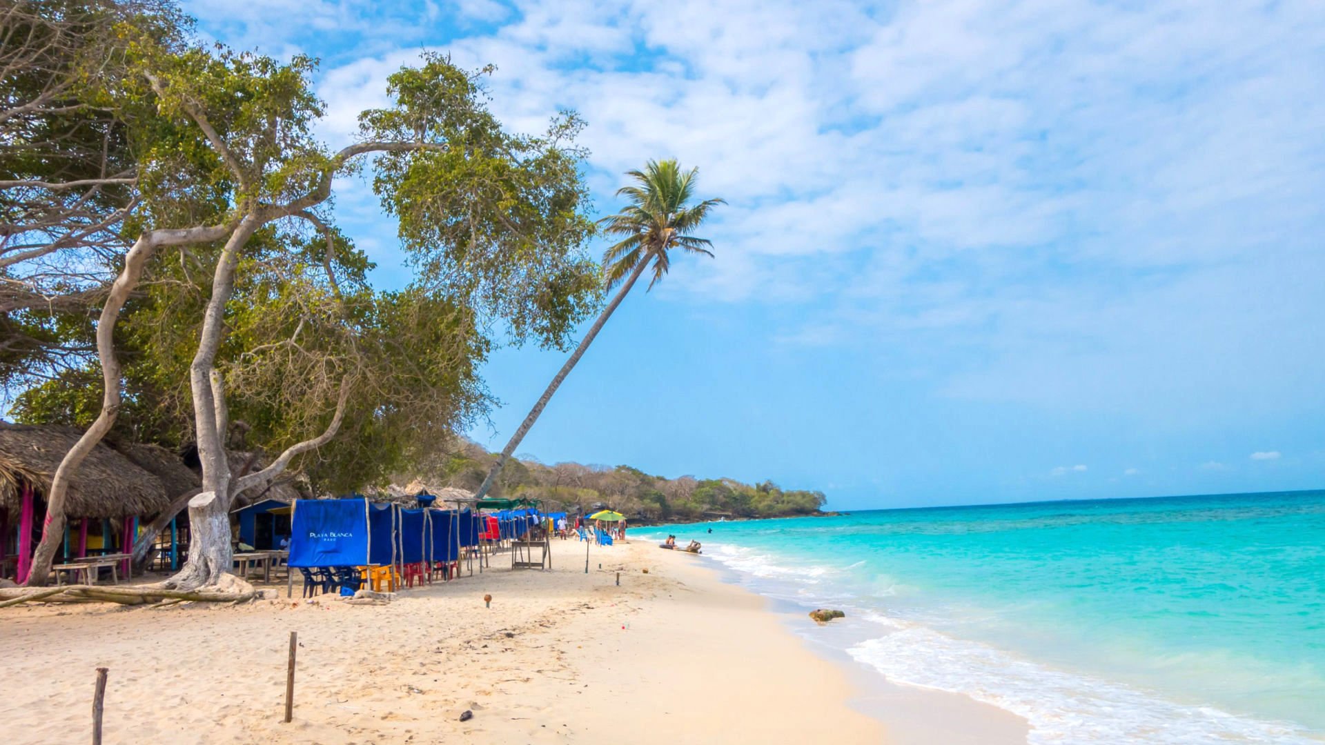 Isla Baru: An Island Paradise Steps from Cartagena - Bookaway