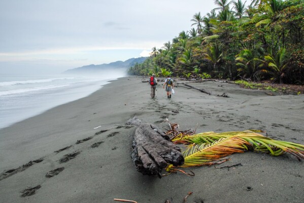 Best Beaches in Playa Negra, Costa Rica - Bookaway