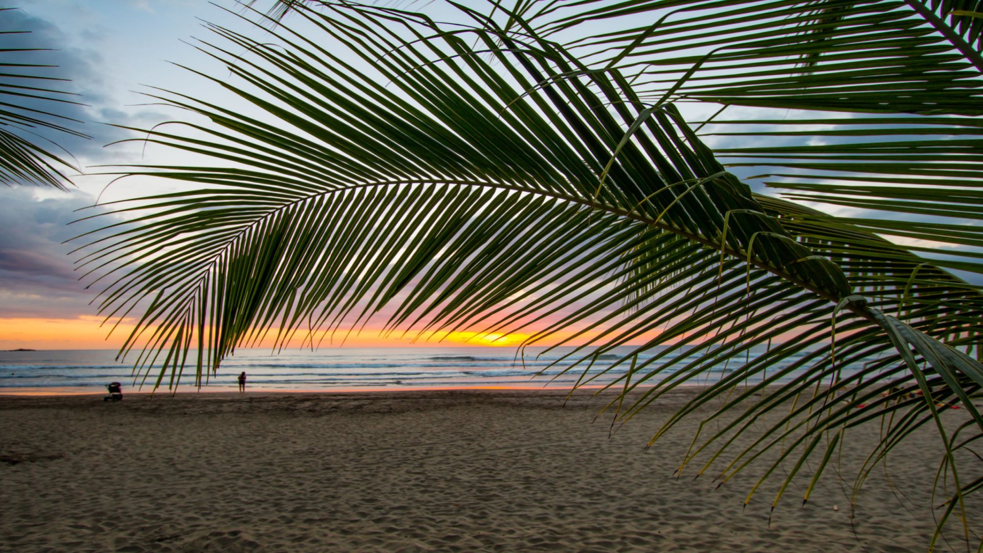 Playa Conchal, Costa Rica: A Bucket List Beach - Bookaway