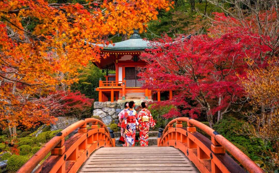Kyoto In Autumn The Best Spots For Foliage Season Bookaway