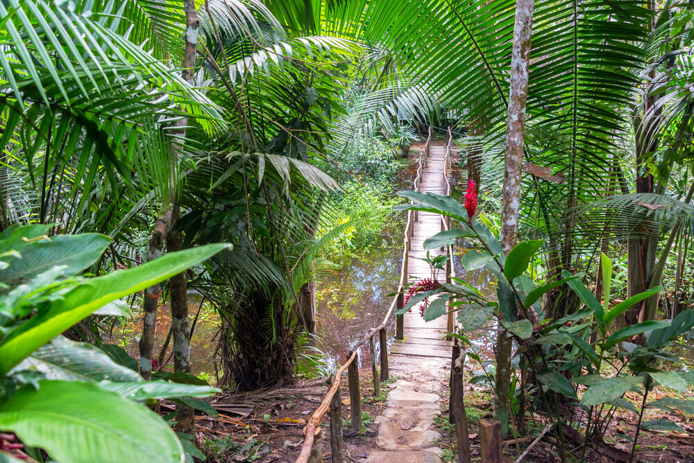 How-to Guide for Crossing the Ecuador-Peru Border - Bookaway