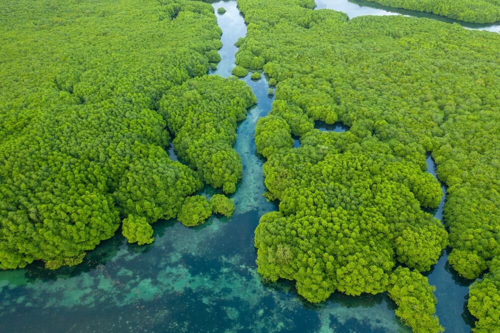 How to Easily Cross the Brazil Peru Border by Land - Bookaway