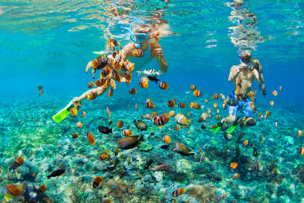 How to Plan the Perfect Trip to Patong Beach, Thailand - Bookaway