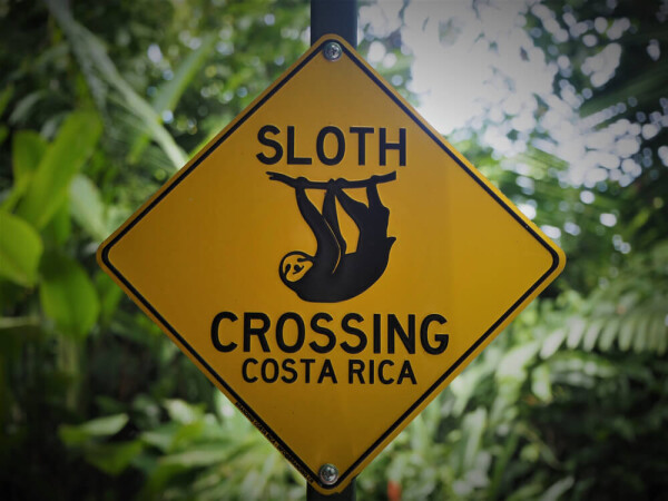 Getting Around Costa Rica: All the Details You Need - Bookaway